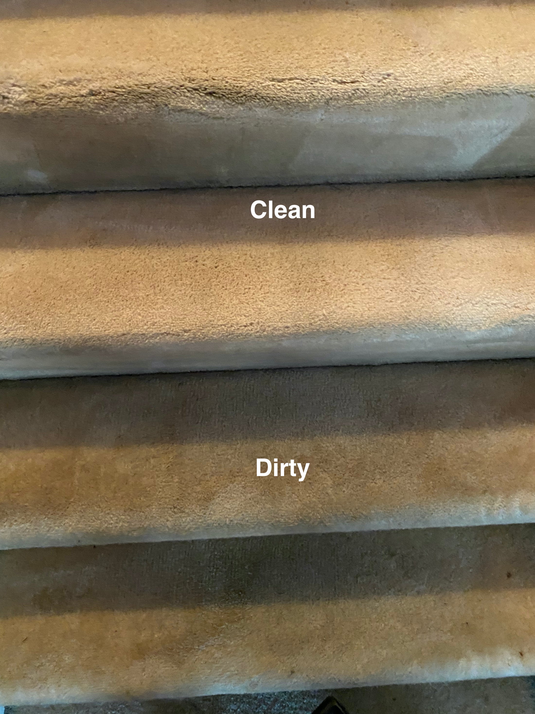 Green Mitt Kit – Clean Safe Products